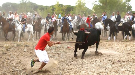 Toros Con Fuego En Los Cuernos O Forzados A Saltar Al Mar Las Más