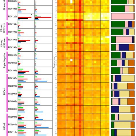 Somatic Mutation Profiles Of 21 Breast Cancers Related To Table S1 Download Scientific Diagram