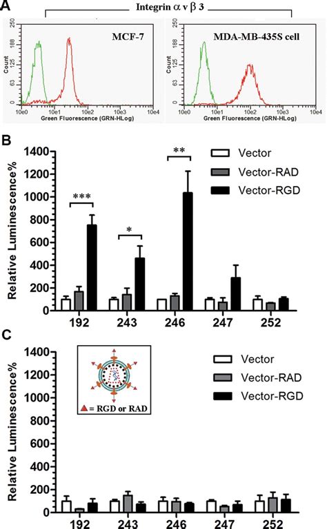 Broadening The Versatility Of Lentiviral Vectors As A Tool In Nucleic Acid Research Via Genetic