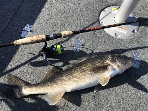 Try These Tips For Drift Fishing In Lake Erie Walleyefirst
