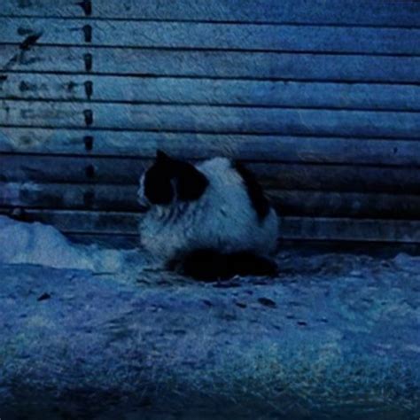 Stream Tlsov Music Listen To Songs Albums Playlists For Free On