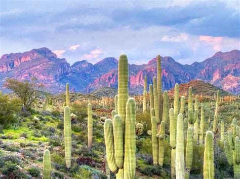 14 Sa Mạc Tuyệt đẹp Trên Thế Giới Báo Hà Giang điện Tử