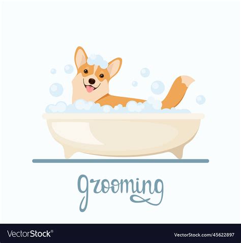 Grooming Royalty Free Vector Image Vectorstock