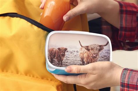 Broodtrommel Blauw Lunchbox Brooddoos Schotse Hooglanders Licht