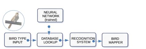 Artificial Neural Network To Identify Different Bird Species Download