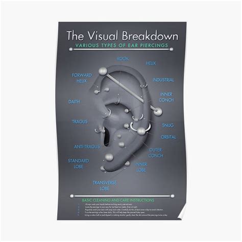 Ear Piercing Infographic Chart Poster For Sale By Jarrod44 Redbubble