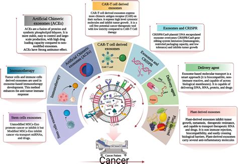 Exosome‐based Cancer Therapy Created With Download