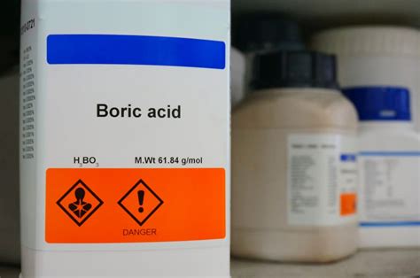 5 Most Effective Powders To Kill Roaches Beatpests
