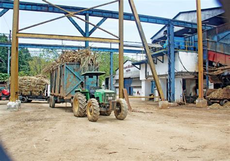 මෝඩ හඳුනා වැඩ පෙන්වයි Pelwatte Sevanagala Sugar Factories In A Crisis Due To Mismanagement