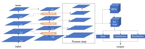 attention based instance segmentation network for cell segmentation