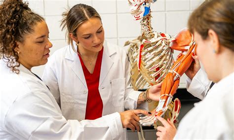 New Program Accelerates Path For Students Seeking Medical Dental Degrees