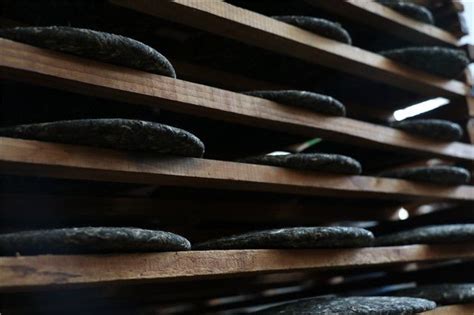 Puer Loose Tea And Compressed Tea Interwoven Yet Distinct