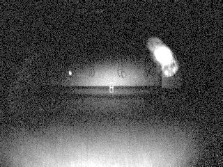 Opt Cdk Evm Image Artifact Observed By Using Voxel Viewer Sensors Forum Sensors Ti