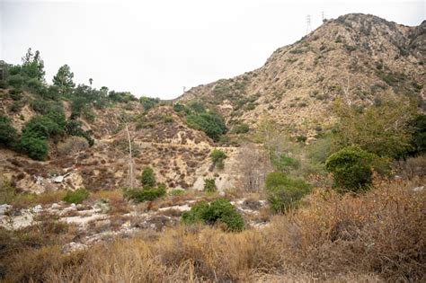 회색 하늘 아래 야생 식물이 있는 이튼 캐년 하이킹 산악 트레일의 풍경 이튼 캐년에 대한 스톡 사진 및 기타 이미지 이튼 캐년 0명 건축 Istock