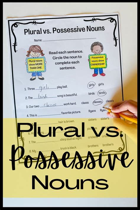 Plural Vs Possessive Nouns Worksheets Possessive Nouns Nouns
