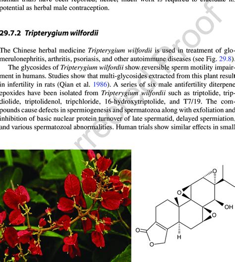 8 Tripterygium Wilfordii And Structure Of Triptolide Download