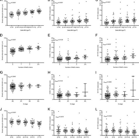Breast Adipocyte Size And Macrophage Infiltration In Relation To
