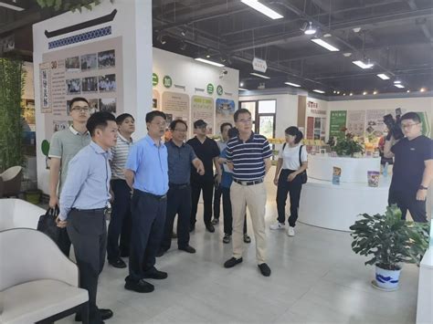 自治区党委网信办到恭城县开展国家数字乡村试点地区调研澎湃号·媒体澎湃新闻 The Paper