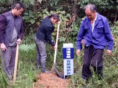 印江县林业局积极完善洋溪省级保护区建设工作
