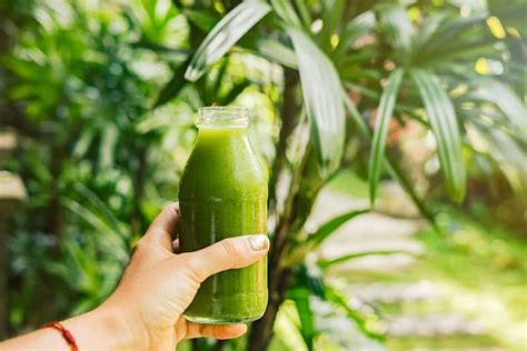 Can You Freeze Celery Juice HowdyKitchen