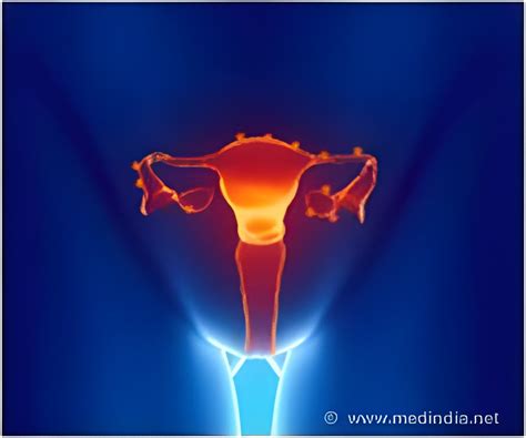 Ai Driven Liquid Biopsy Enhances Early Detection Of Ovarian Cancer