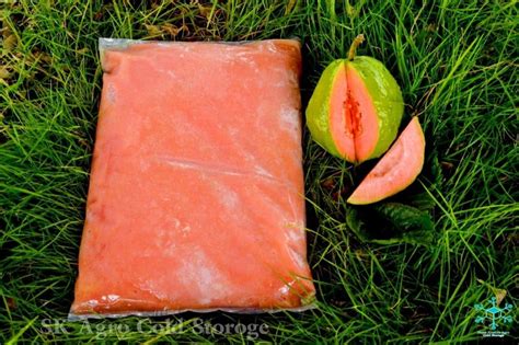 Frozen Guava Pulp Packaging Type Plastic Pouch Packaging Size 1 Kg