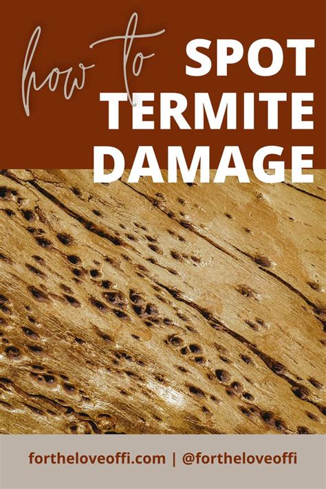 How To Spot Termite Damage Termite Damage Termites Spots