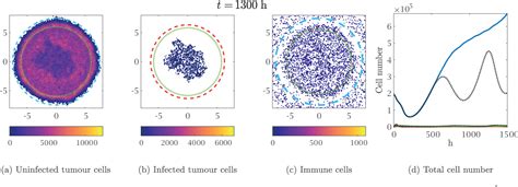 Figure From A Hybrid Discrete Continuum Modelling Approach For The Interactions Of The Immune