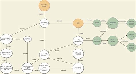 Causal Maps As Tools For Interdisciplinary Integration