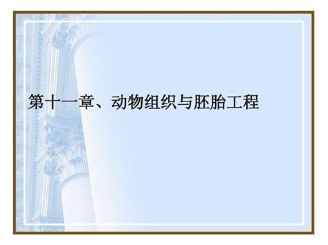 动物组织与胚胎工程word文档在线阅读与下载无忧文档
