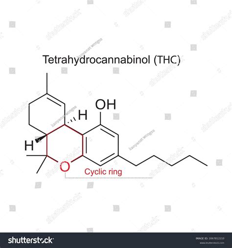 Structure Tetrahydrocannabinol Thc Isolated On White เวกเตอร์สต็อก