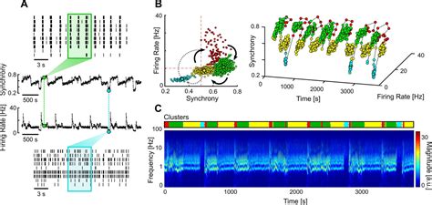 disrupting abnormal neuronal oscillations with adaptive delayed