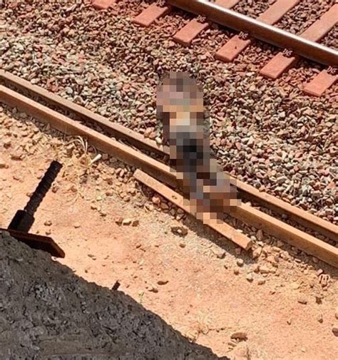 Corpo de homem mãos amarradas é encontrado sobre os trilhos de