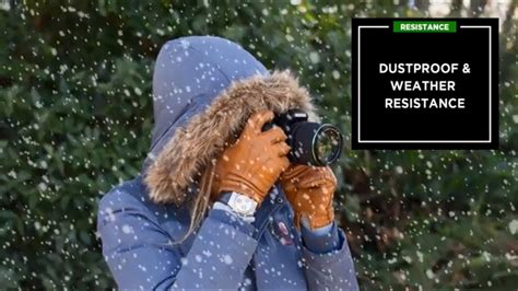 Best Dslr Cameras For Beginners This Review Buyerss Guide