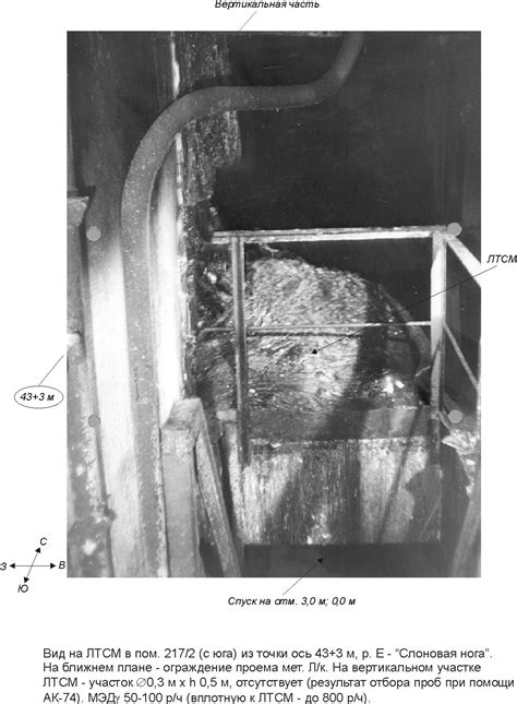 Talkelephants Foot Chernobyl Wikipedia