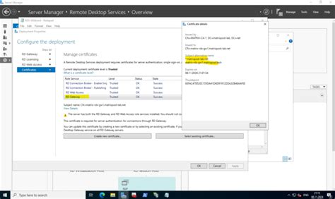set up microsoft entra application proxy to publish remote desktop rds