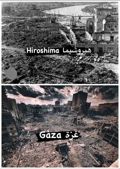 Haitham Shenawy Posted On Linkedin