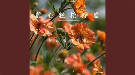 你说想要远行 舒缓纯音乐 Youtube