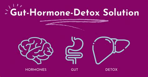 What Is A Kalish Method Practitioner 23 Nutrition Therapy