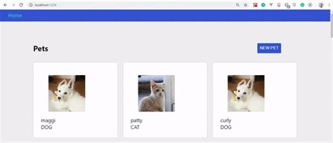 Understanding Client Side Graphql With Apollo Client In React Apps Webmasters Gallery
