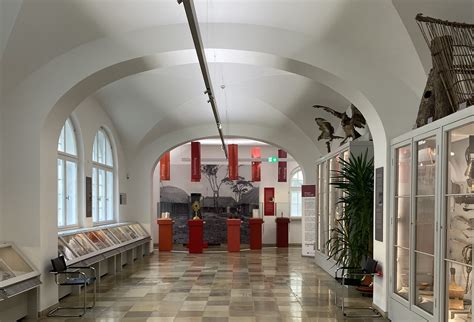 What Neanderthal Bones Reveal About Their Sex Lives Sapiens