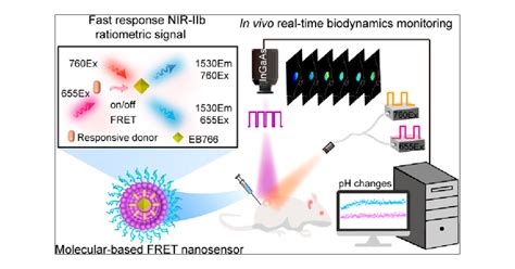 Molecular Based Fret Nanosensor With Dynamic Ratiometric Nir Iib Fluorescence For Real Time In