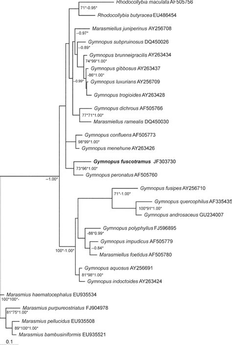phylogenetic tree based on the complete its rdna region its1 5 8s