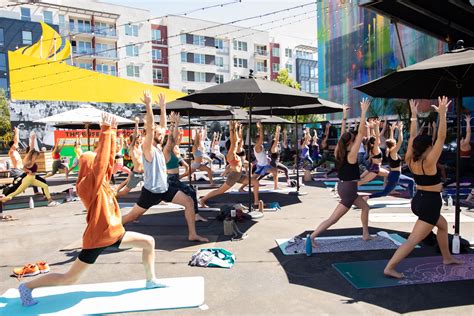 Classes Wolf And Lion