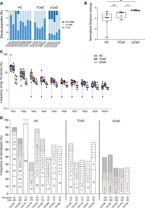 Analysis Of Clonality And Diversity In Cd8⁺ αβ Iels A The Degree Of