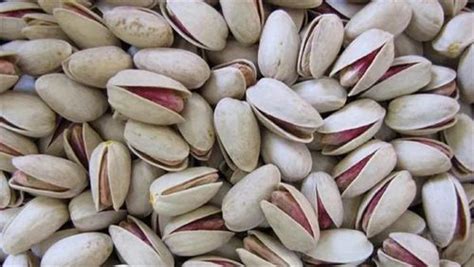 Organic Shelled Pistachio Nut With Shell Loose At ₹ 1000kg In Kovilpatti