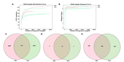 Figure Feasibility Analysis And Operational Taxonomic Units Otus