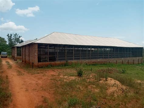 135 Acres Of Matooke And Poultry Farm For Sale In Kirolo Matugga At