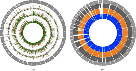 Genome Coverage And High Confidence Regions A Genome Coverage By