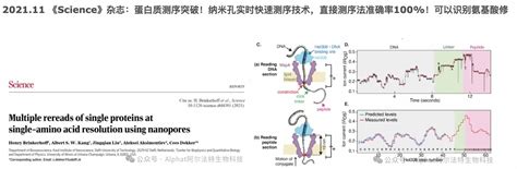 动物激光散斑多普勒组织血流血氧实时成像系统 阿尔法特生物科技（广州）有限公司